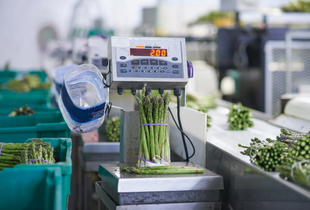 Static Checkweighers: Revolutionizing Manufacturing Quality Control